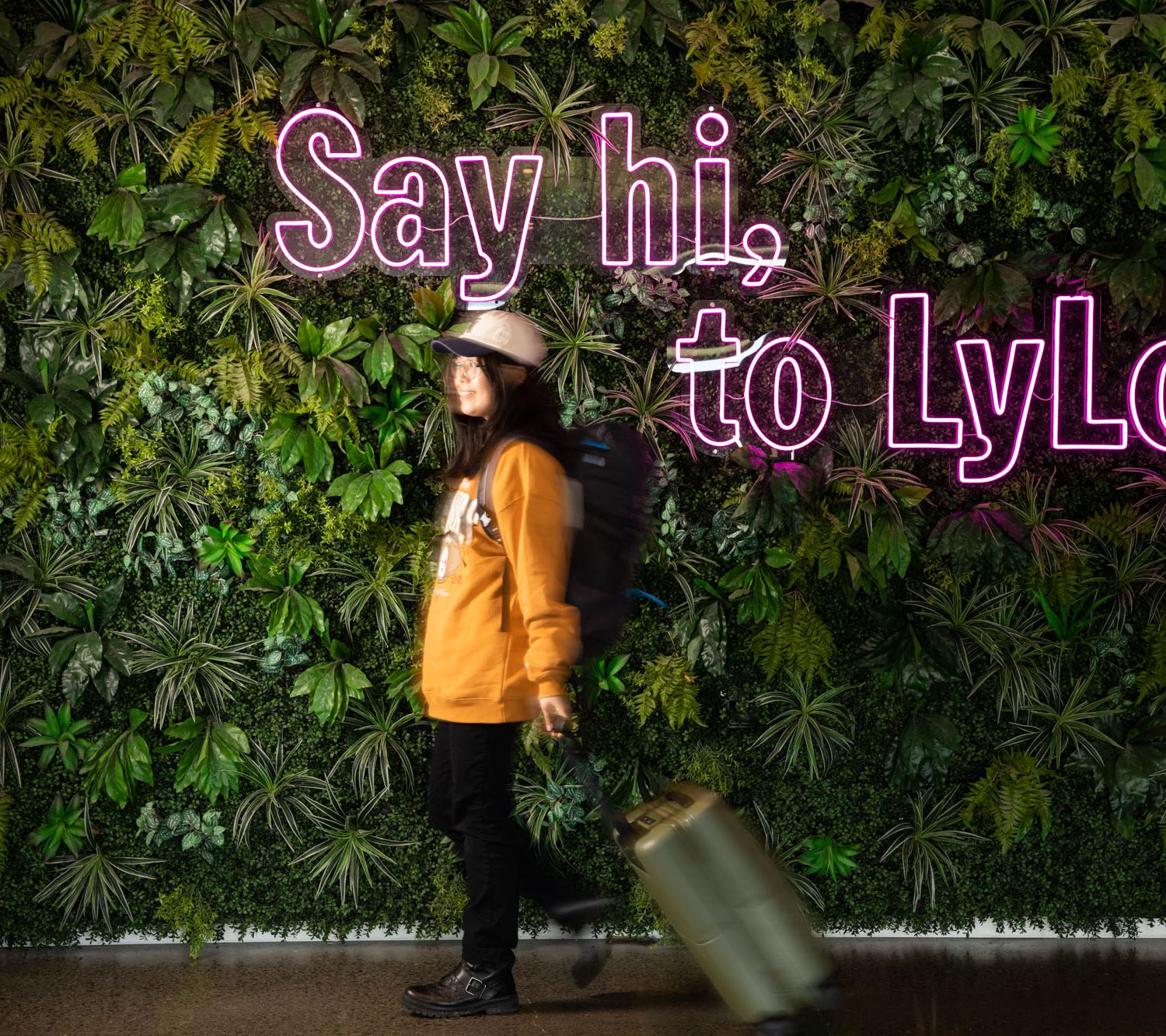 Need to know - LyLo Christchurch